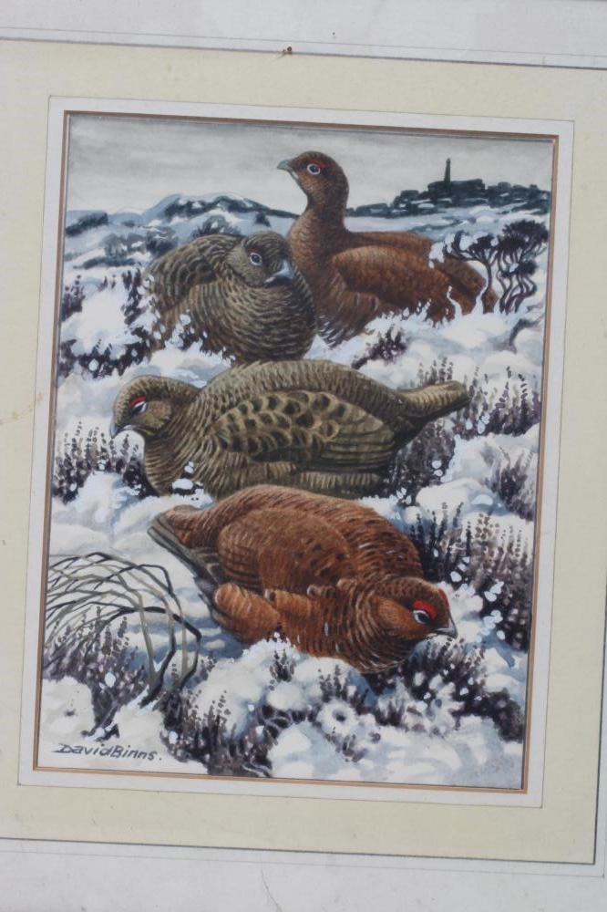 David binns (1935-2020) pair of snipe | Hartleys Auctioneers & Valuers