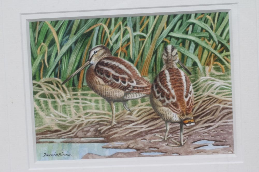 David binns (1935-2020) pair of snipe | Hartleys Auctioneers & Valuers
