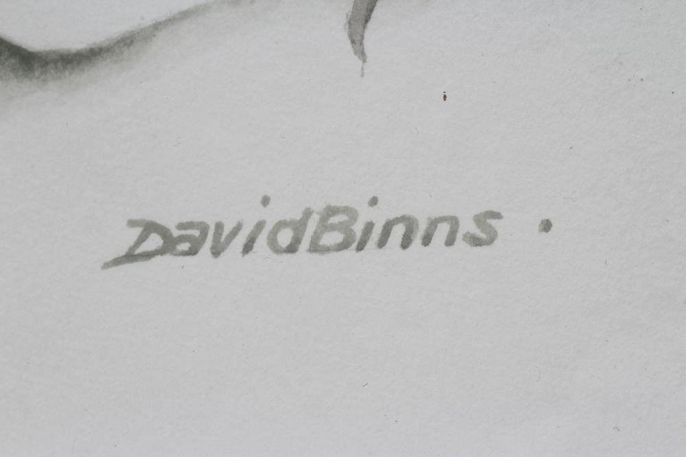 David binns (1935-2020) hawthorne harvest | Hartleys Auctioneers & Valuers