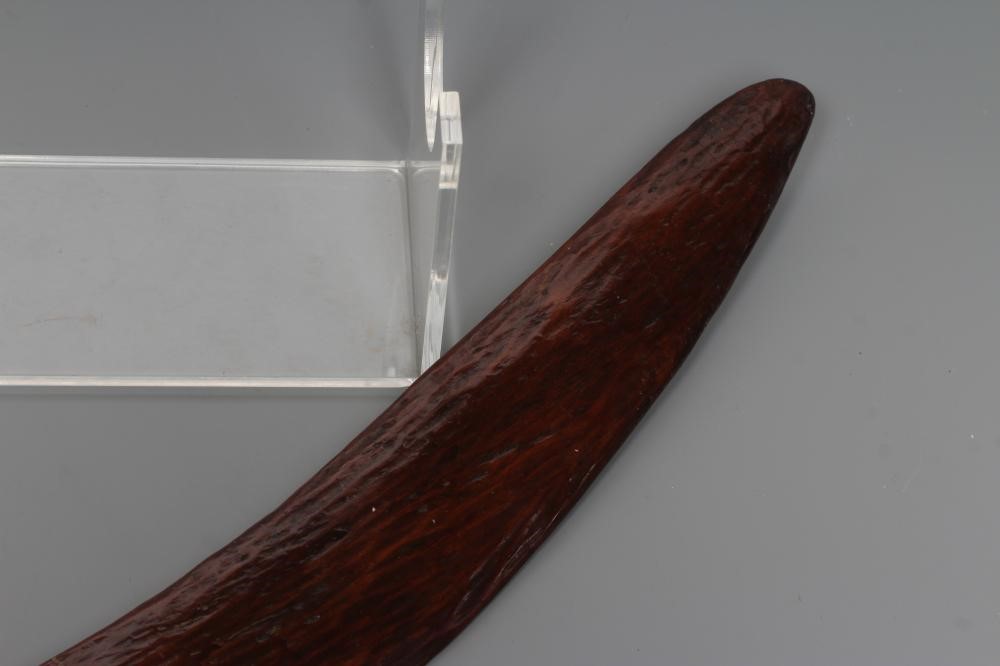 An aboriginal boomerang with one flat edge and long tooling marks ...