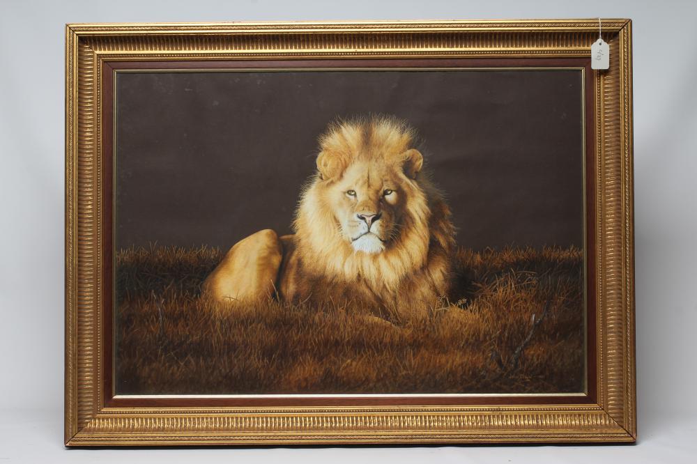 John mould (b.1958) a lion resting, oil on board, signed, 20 1/2" x 29 ...