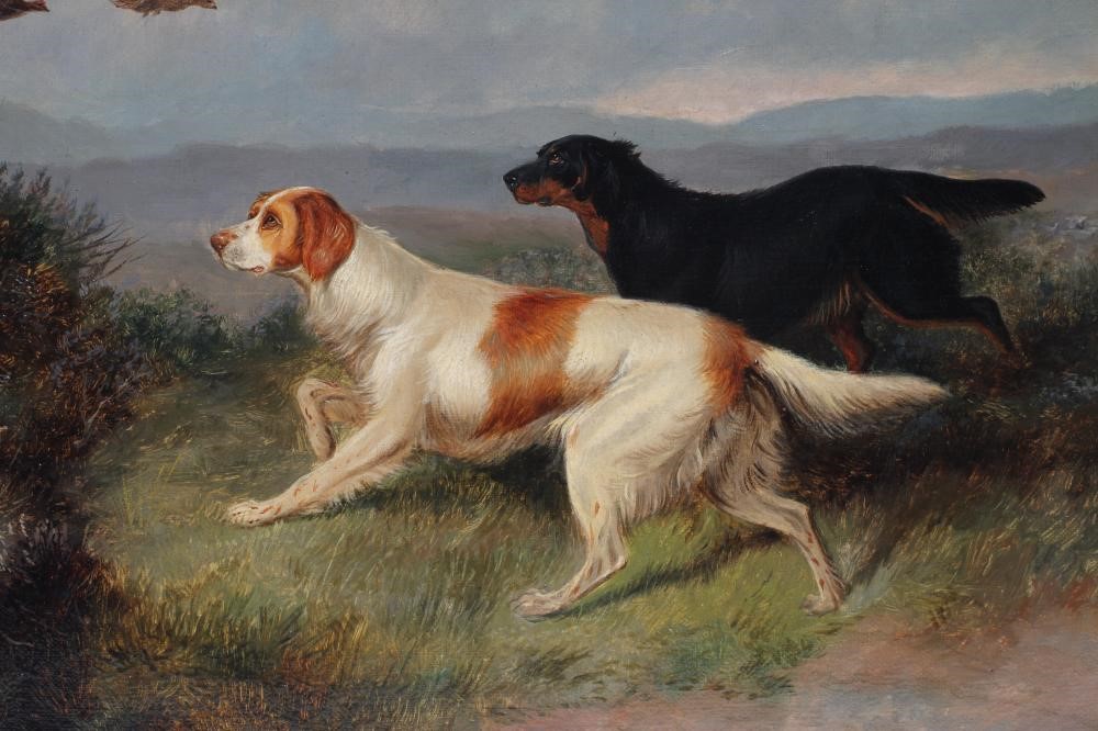 Attributed to colin graeme roe (1855-1910) retrievers flushing grouse ...