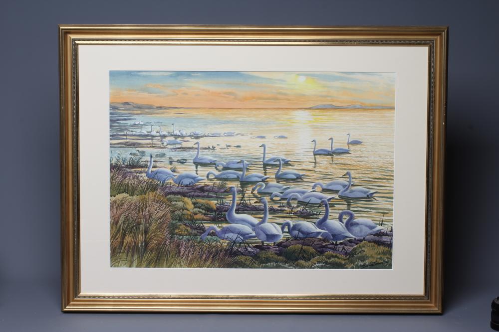 David binns (1935-2020) geese on a shoreline, signed lower right and ...
