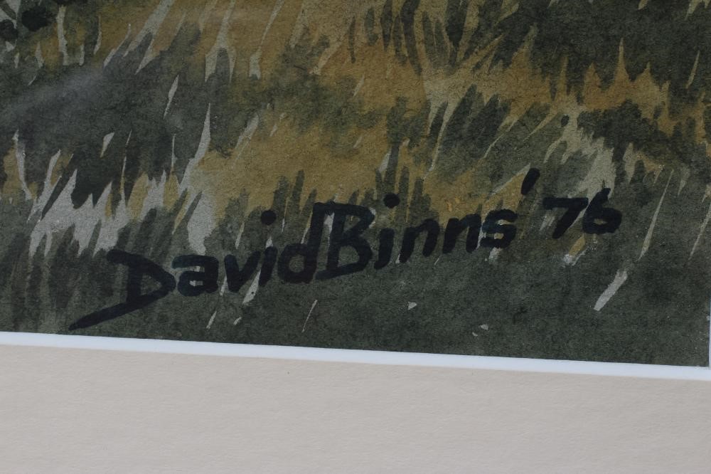 David binns (1935-2020) geese on a shoreline, signed lower right and ...