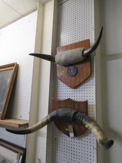 Two sets of cow horns | Hartleys Auctioneers & Valuers