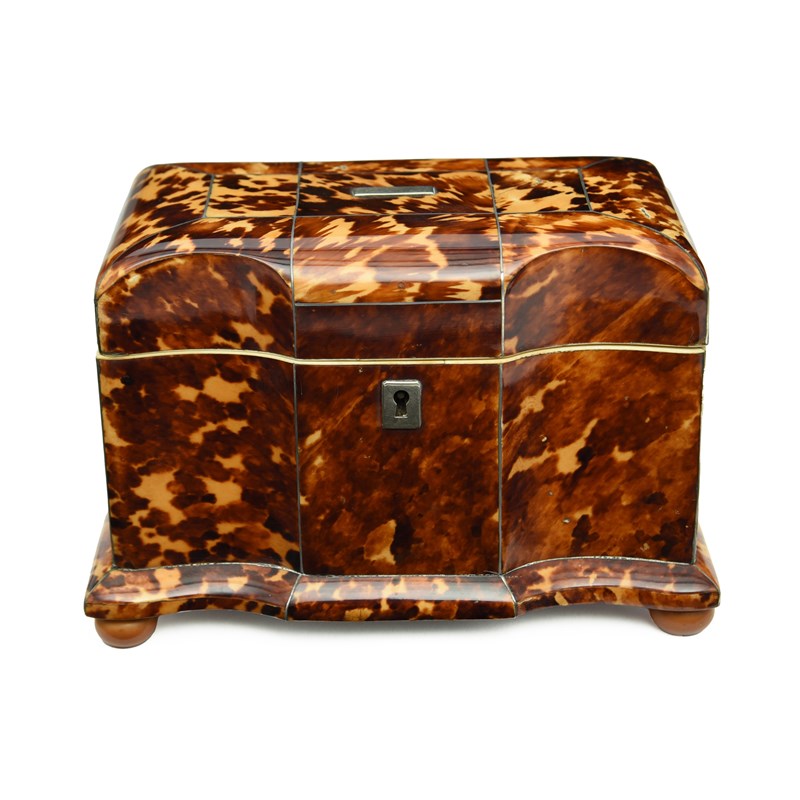 Λ a william iv tortoiseshell tea caddy | Woolley and Wallis