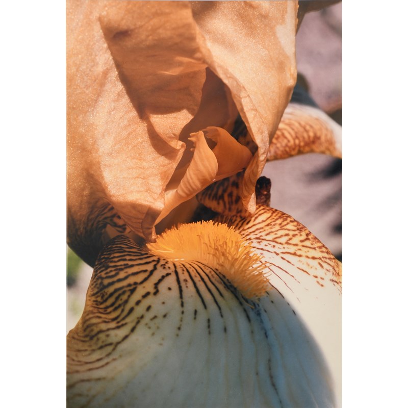 david cripps (1938-2013) | Woolley and Wallis