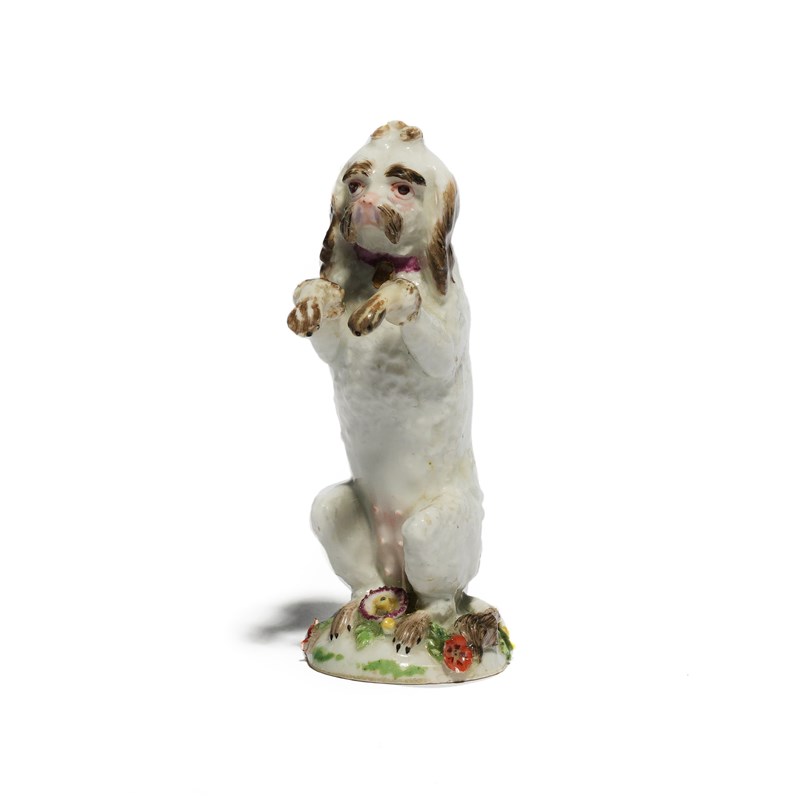 A small chelsea figure of a begging poodle, c.1760, the dog seated on ...