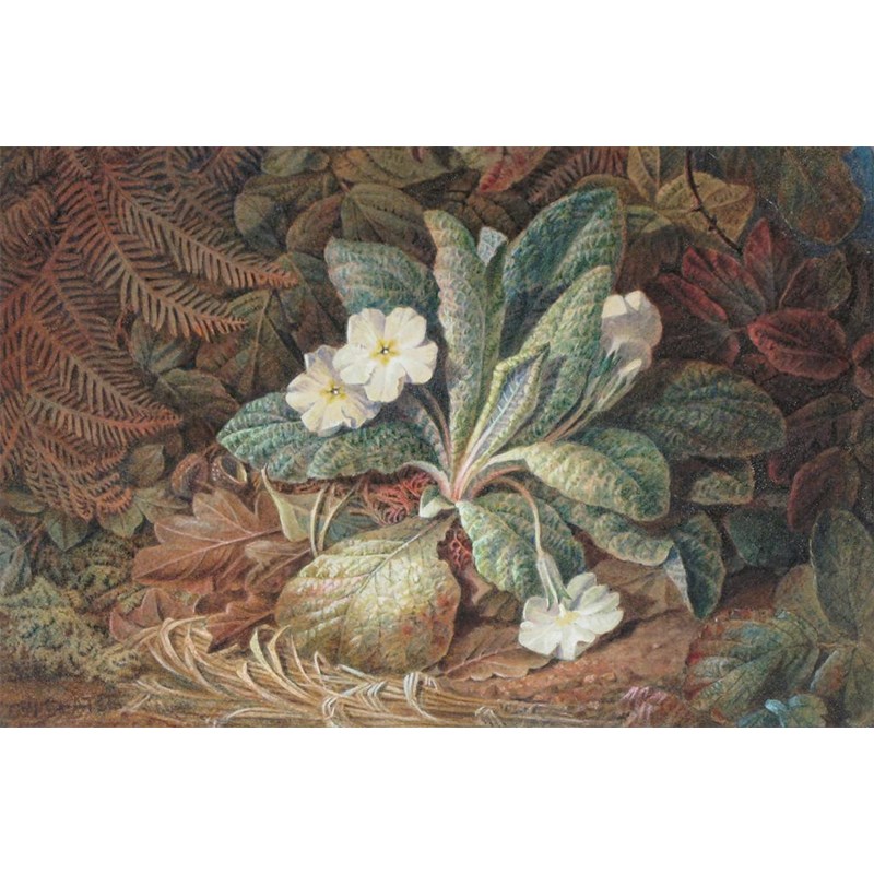 Charles henry slater (c.1820-1890) still life of primroses and ferns on ...