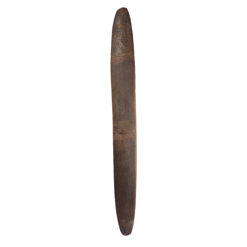 An aboriginal narrow shield | Woolley and Wallis