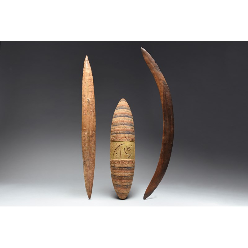 An aboriginal narrow shield | Woolley and Wallis